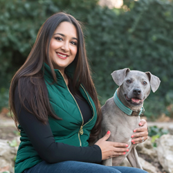 Specialists in Surgery, Internal Medicine, and 24-Hour Emergency Care